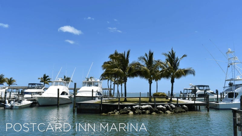 The Best Florida Keys Marinas from Marathon to Key Largo